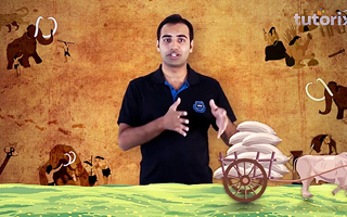 Affordable Premium Online Learning - Tutorix App